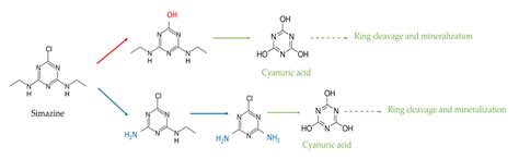 Catalysts Free Full Text Undoped And Fe Doped Anatasebrookite Tio2 Mixed Phases Obtained