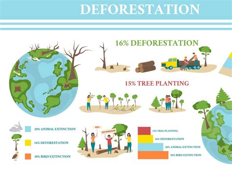 Deforestation Infographic By Macrovector On Dribbble