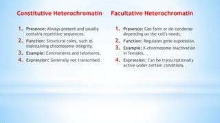 Molecular Biology Differences Pdf 4th Semester PPT