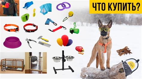 Что нужно купить для щенка в первую очередь Youtube