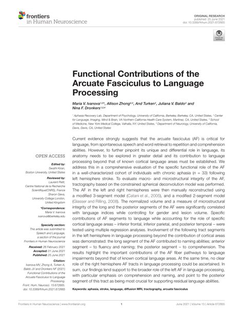 Pdf Functional Contributions Of The Arcuate Fasciculus To Language Processing