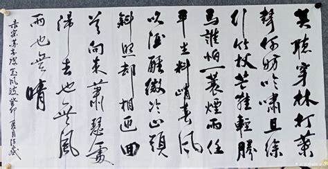 陈文斌日记书法家陈文斌书录苏东坡《定风波》。我最喜欢的诗句一蓑烟雨任兴艺堂