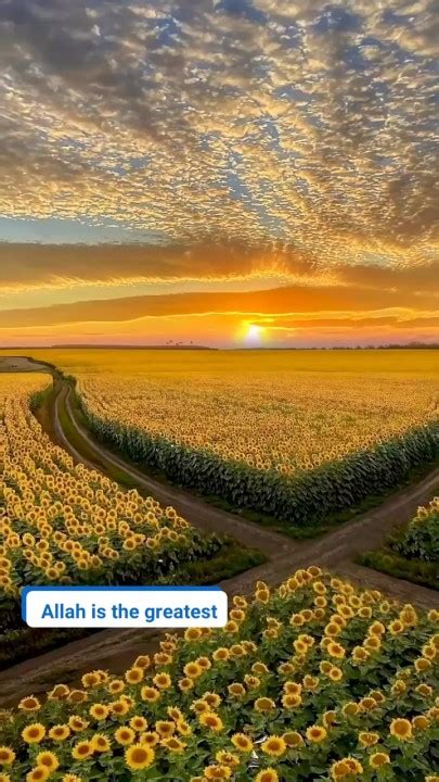 Fawad Ahmad Posted On Linkedin
