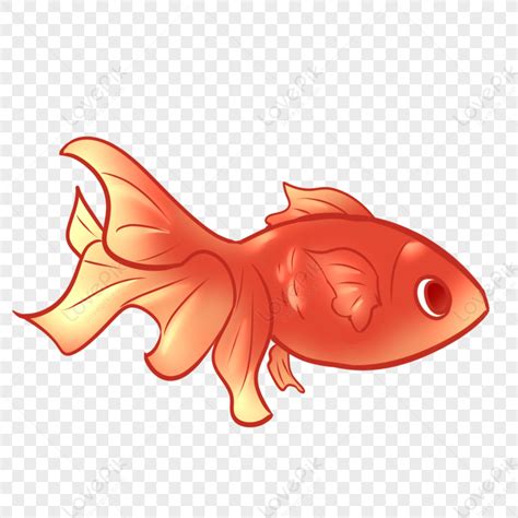 오렌지 일러스트 레드 그라데이션 금붕어 클립 아트주황색주황 Png 일러스트 무료 다운로드 Lovepik