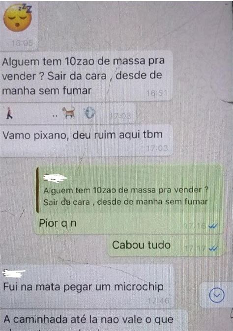 PCDF deflagra operação e prende traficante de drogas gourmet Metrópoles
