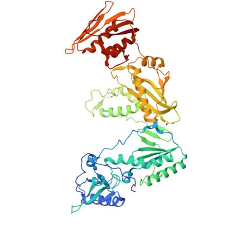 Rcsb Pdb 1fko Crystal Structure Of Nnrti Resistant K103n Mutant Hiv