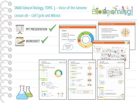 SNAB Biology Topic Lesson Cell Cycle And Mitosis WS And PPT Teaching Resources