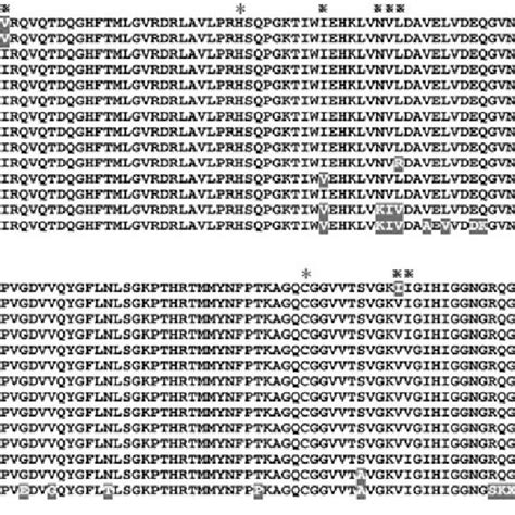 The Multiple Sequence Alignment Of 3c Pro From Genbank Database The