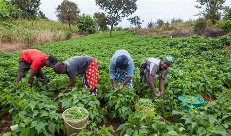 Decent Work And Economic Growth Solutions Sdg8