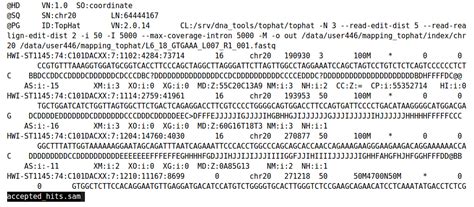 Samtools Guide Learning How To Filter And Manipulate With Sam Bam Files By Shilparaopradeep