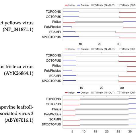 A Visual Summary Of The Membrane Topology Predictions Of A Beet