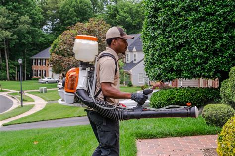 3 Things To Know Before Using Homemade Mosquito Yard Spray