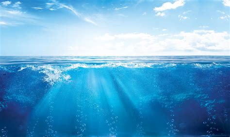 Surface Des Mers Et Océans Un Tiers Des Aires Marines Protégées Le
