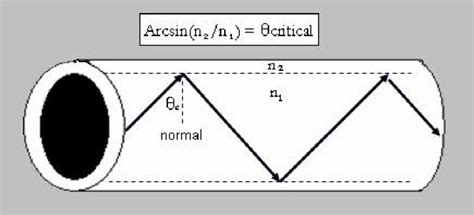 Schematics Of Liquid Core Optical Fibre The Waveguide Extends The Download Scientific Diagram
