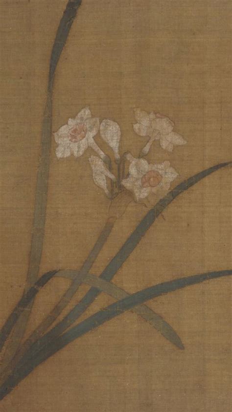 花鳥瓜果魚蟲篇無水印壁紙欣賞 每日頭條