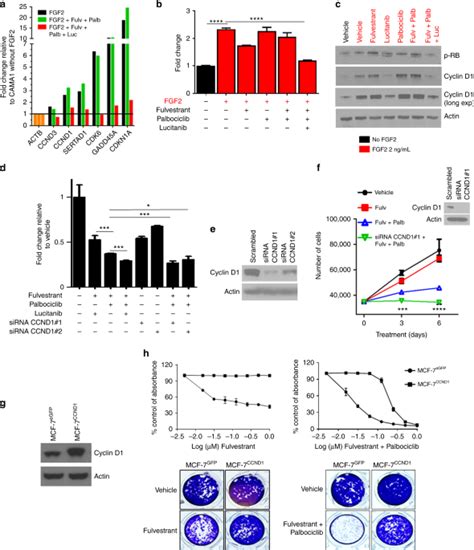 Aberrant Fgfr Signaling Mediates Resistance To Cdk46 Inhibitors In Er