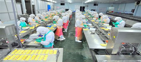 HACCP Análise de Perigos e Pontos Críticos de Controlo Ariol Consulting