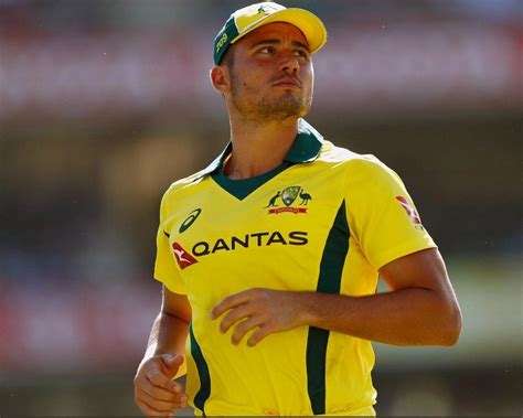 चैंपियंस ट्रॉफी में होने के बावजूद क्यों लिया अचानक मार्कस स्टोइनिस ने संन्यास Marcus Stonis