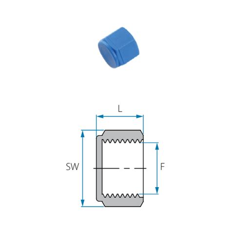 Caps Bspt Aims Fasteners