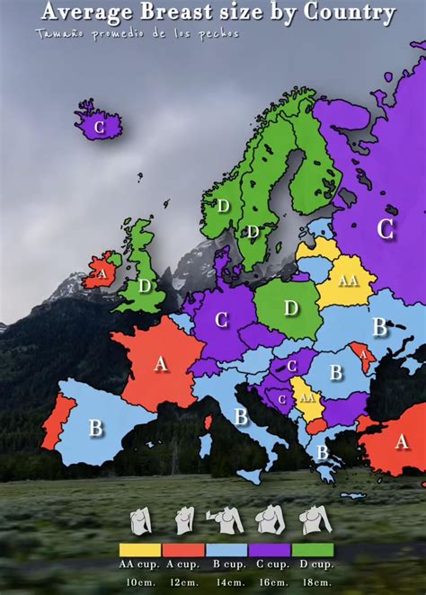 Average Breast Size R 2westerneurope4u