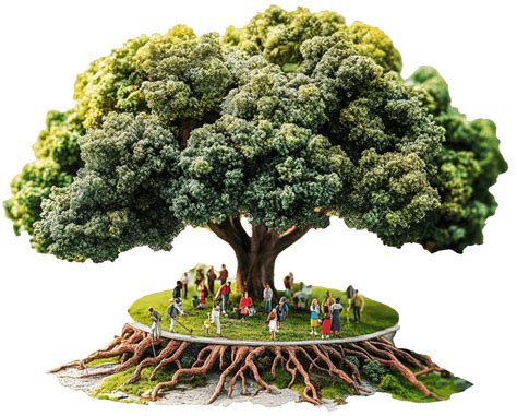 De Buurt Als Ecosysteem De Buurt Als Ecosysteem