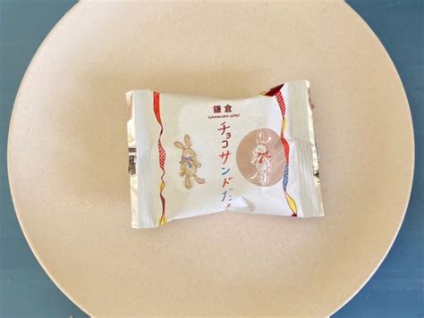 鎌倉発のおやつにハズレなし‼︎「チョコサンドだょ」 みのりんこのおやつブログ
