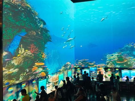 Qut The Cube School Holiday Activities These Holidays