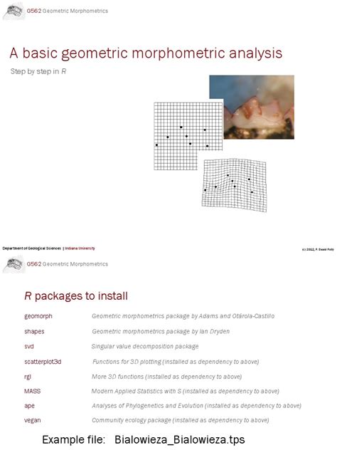 A Step By Step Guide To Performing A Basic Geometric Morphometric