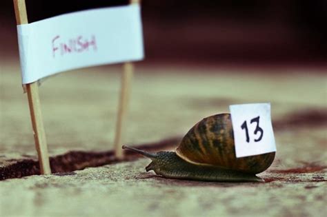 Jiteshwar Anjale On Linkedin Why Is Python So Slow Anthony Shaw Medium