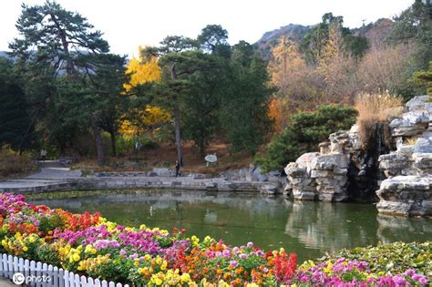 初冬时节 北京香山公园层林尽染冬景如画 搜狐大视野 搜狐新闻