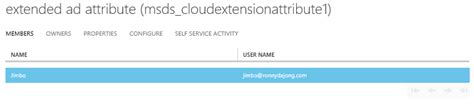 Use Custom Attributes For Automatically Populate Azure Ad Dynamic Group