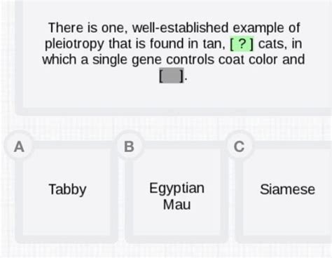 Pleiotropy Cat