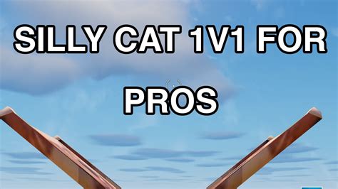 Silly Cat 1v1 For Pros 7881 7555 4314 By Hotdogity Fortnite Creative