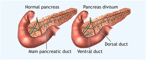 Dr Manas Aggarwal Best Gastroenterologist In Gomti Nagar Lucknow Best Gastro Onco Surgeon