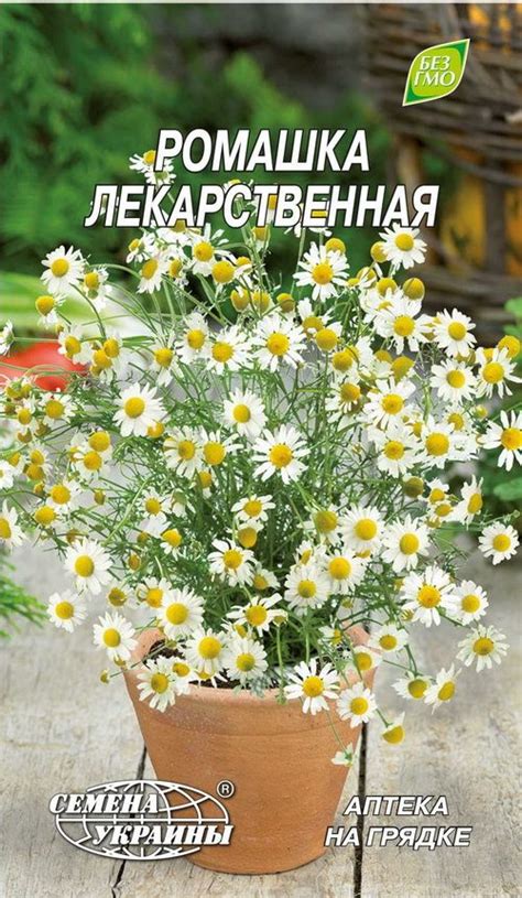 Євро Ромашка лікарська 0 3г Офіційний інтернет магазин ТМ Насіння