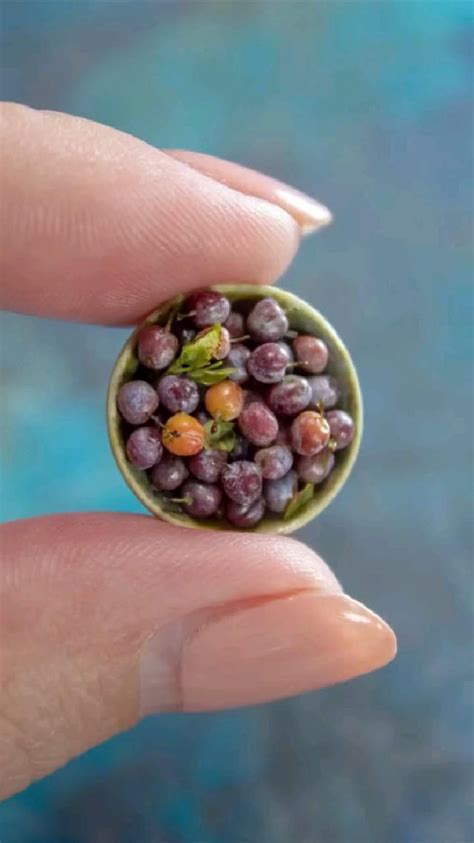 Tiny Clay Craft Miniature Food Tutorials Clay Crafts Miniature Food