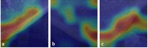 Alexnet Grad Cam Results For Dataset C1c2c3 A C1 B C2 C C3