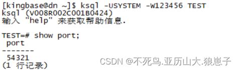 Kingbase：数据库启动状态kingbase启动 Csdn博客