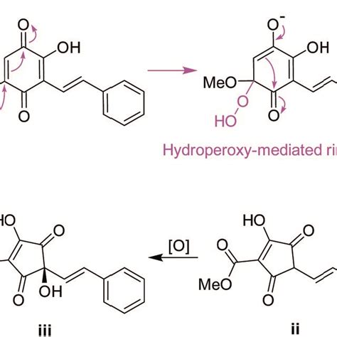 Plausible Biosynthetic Pathway For 1 Download Scientific Diagram