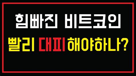 힘빠진 비트코인 빨리 대피해야하나 Youtube