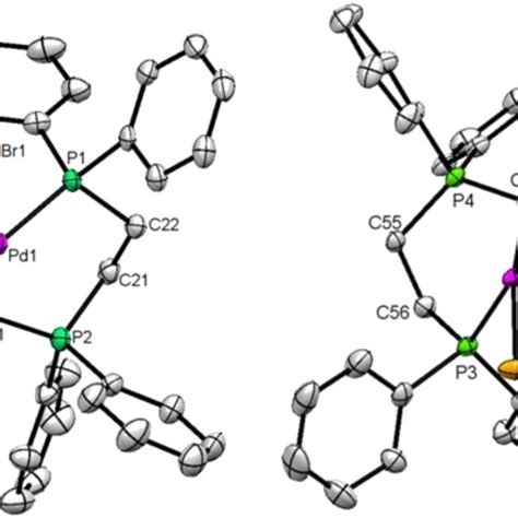 Ortep View Of X‐ray Crystal Structure Of Molecules 1 And 2 Download