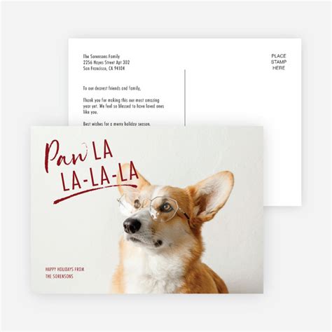 Spreading Pawsitive Vibes Holiday Cards And Invitations Paper Culture