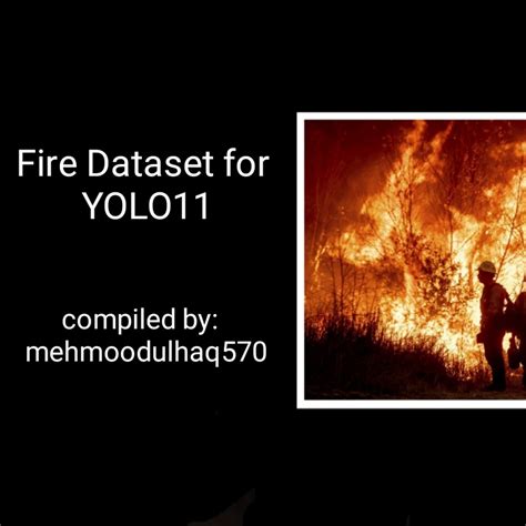Fire Dataset For Yolo11 Kaggle