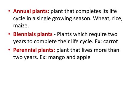 Reproduction In Organisms Life Cycle Phases Asexual And Sexual