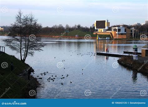 Malta Lake In Poznan Poland Stock Image Image Of Types Landscape