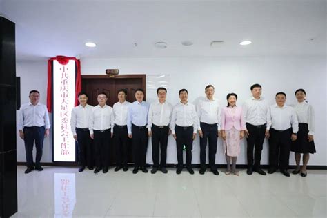 大足区四家单位揭牌成立工作治理指导