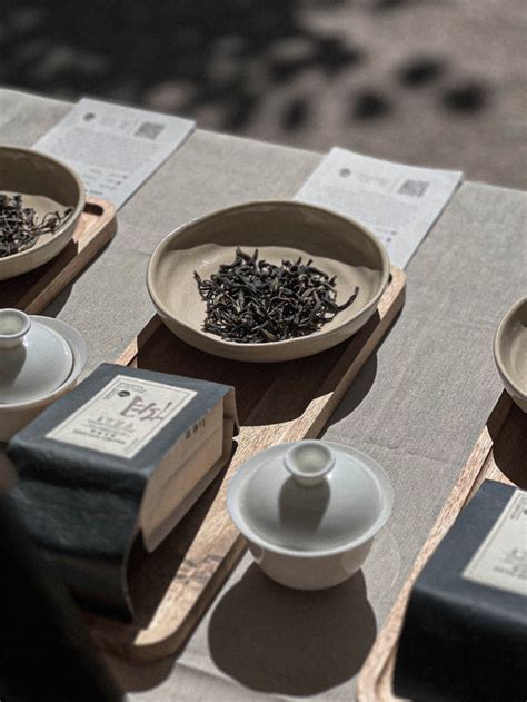 Yin Cha Bij Het Prague Tea Festival 21and22 Februari 2025