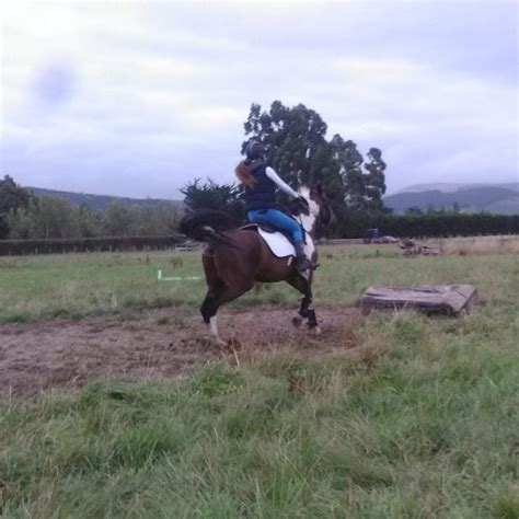 Briar Mccormack Youtube