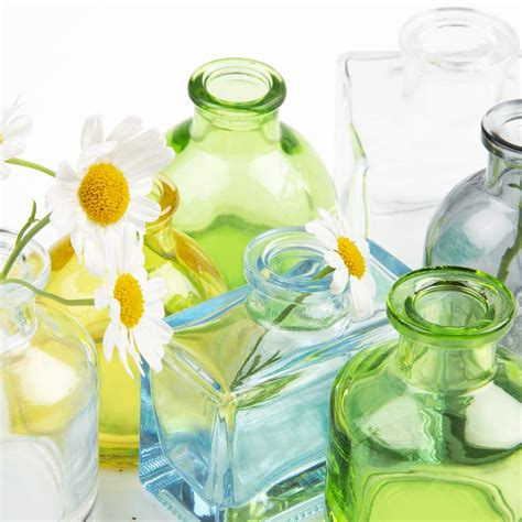 Chive ‘loft Clear Glass Bottle Flower Vase — Beautiful Small Bud Vases