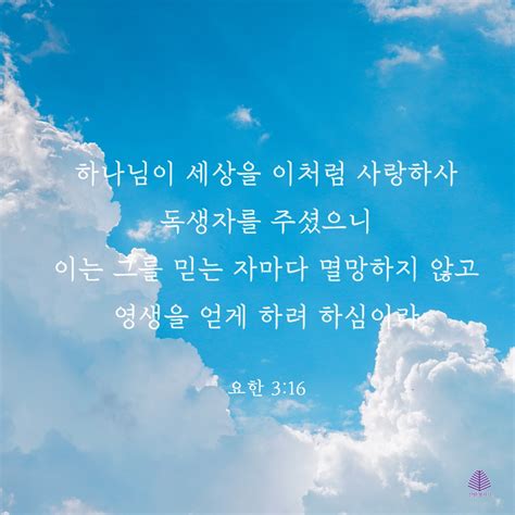 선한청지기 하나님이 세상을 이처럼 사랑하사 독생자를 주셨으니 이는 그를 믿는 자마다 멸망하지 않고